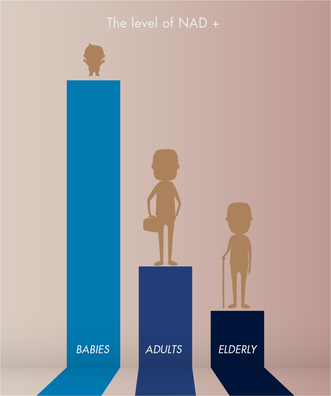 NAD+ – The Cutting-edge Anti-aging Science – Puerfons