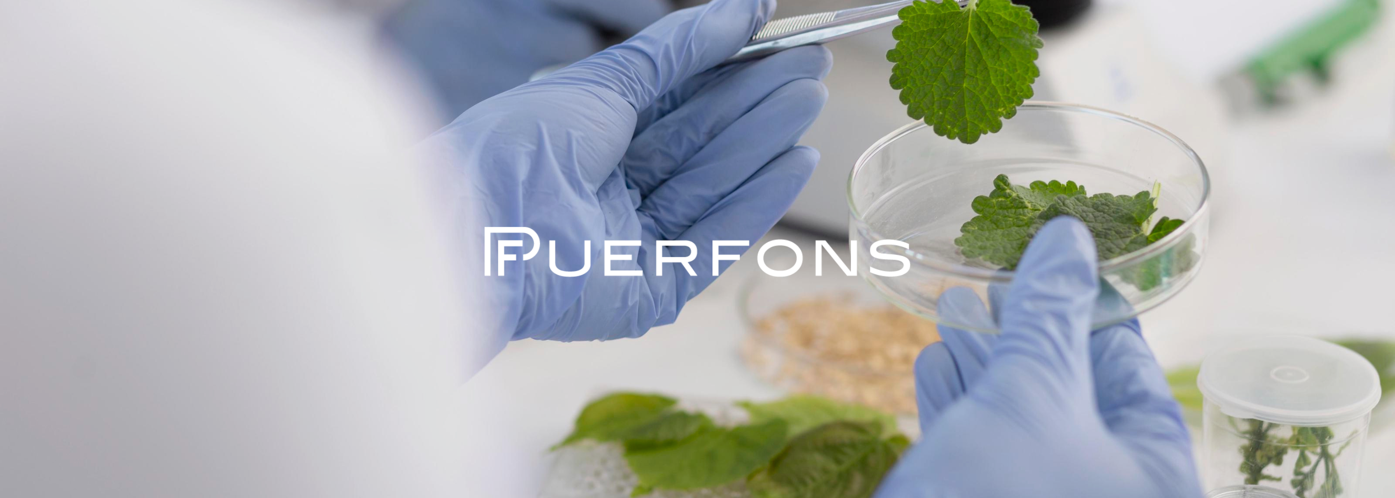 About Us – Puerfons
